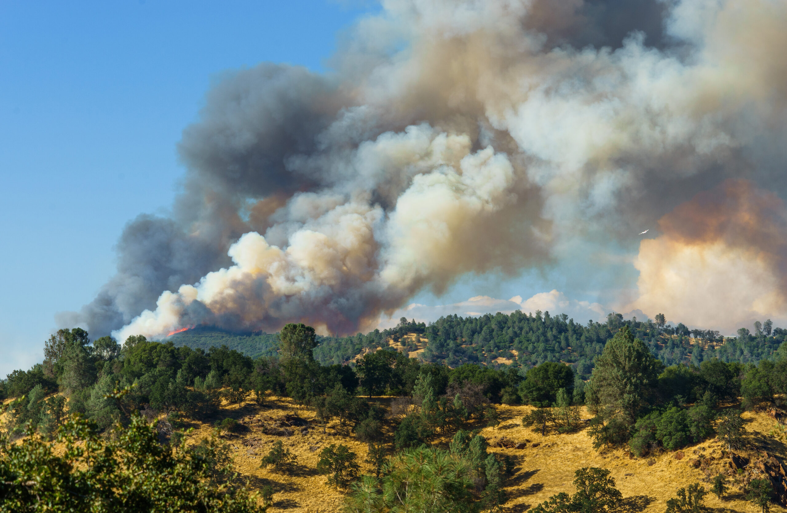 How to Survive A wildfire Webinar - California Fire Safe Council
