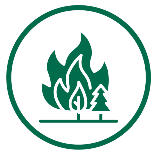 Home - California Fire Safe Council - Learn More Today
