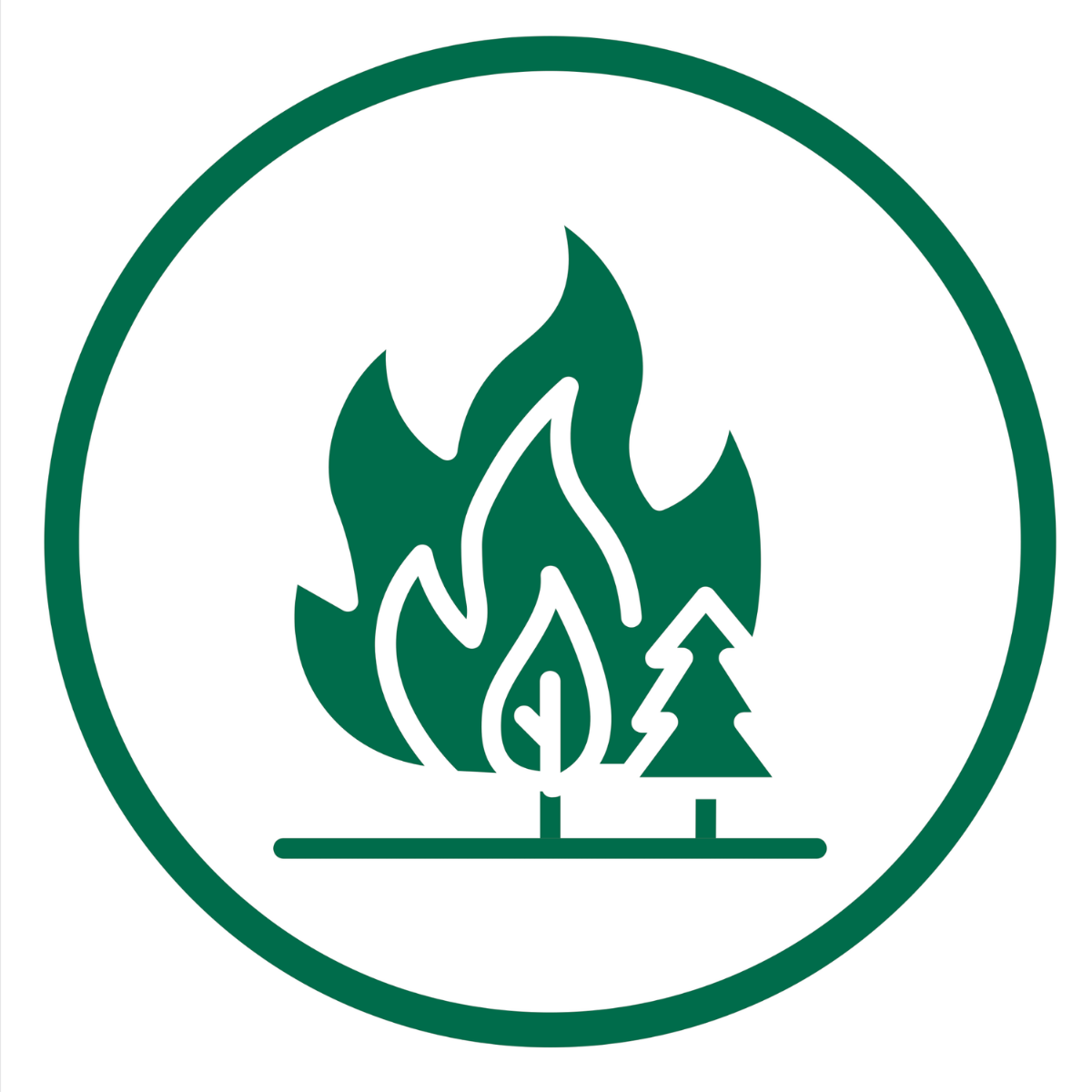Home - California Fire Safe Council - Learn More Today